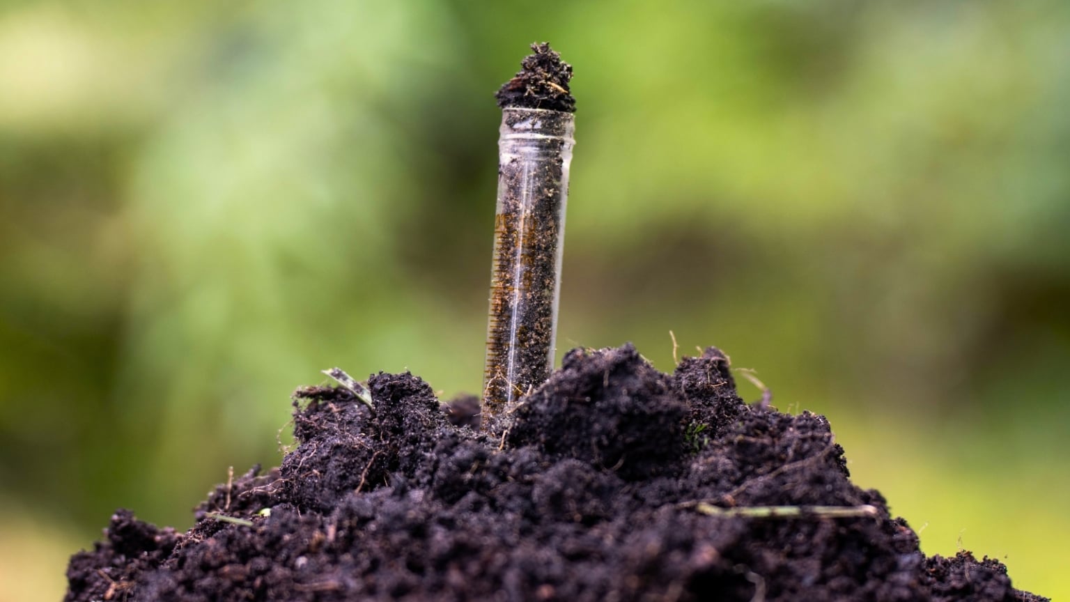 How to Raise Your Soil pH With Garden Lime