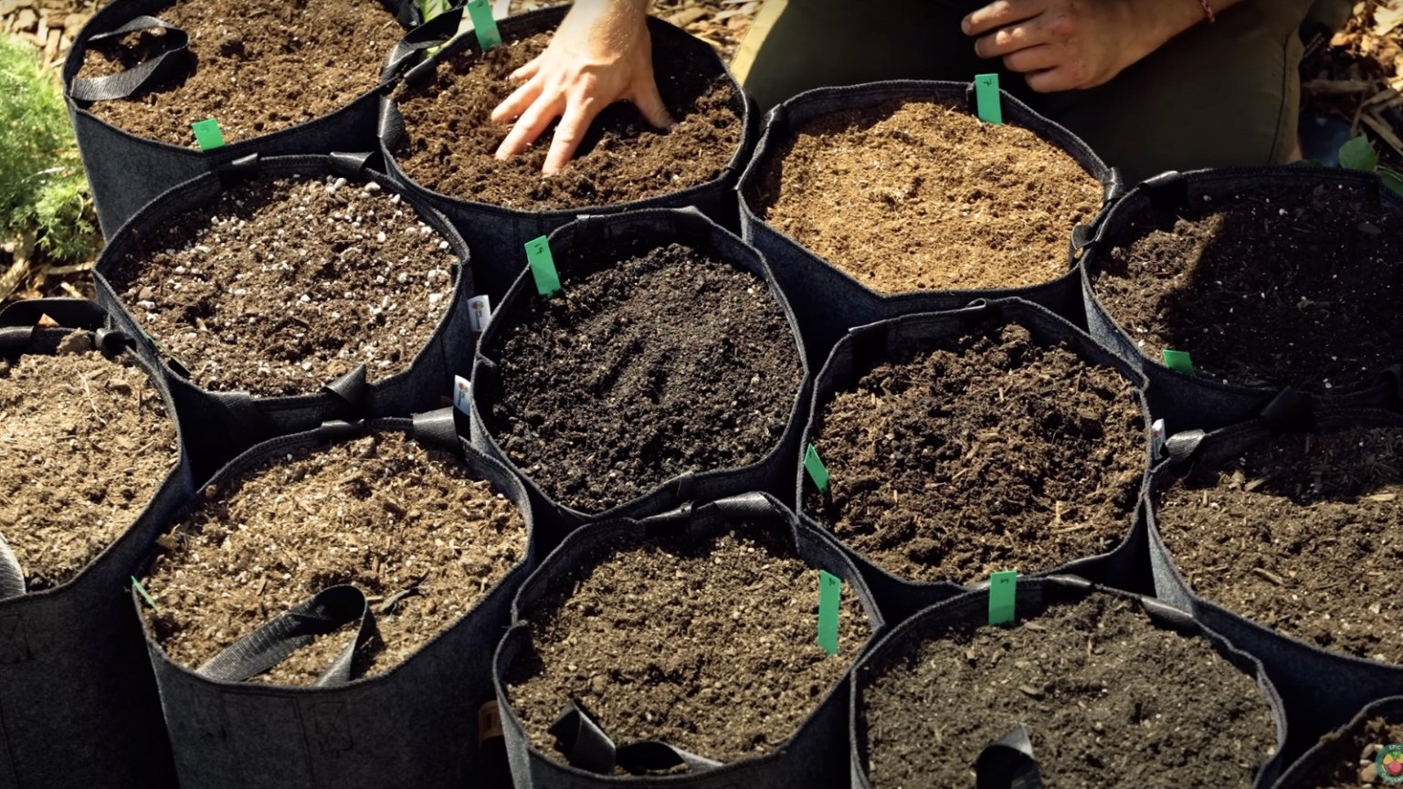 Testing Popular Potting Mixes: Our Surprising Results