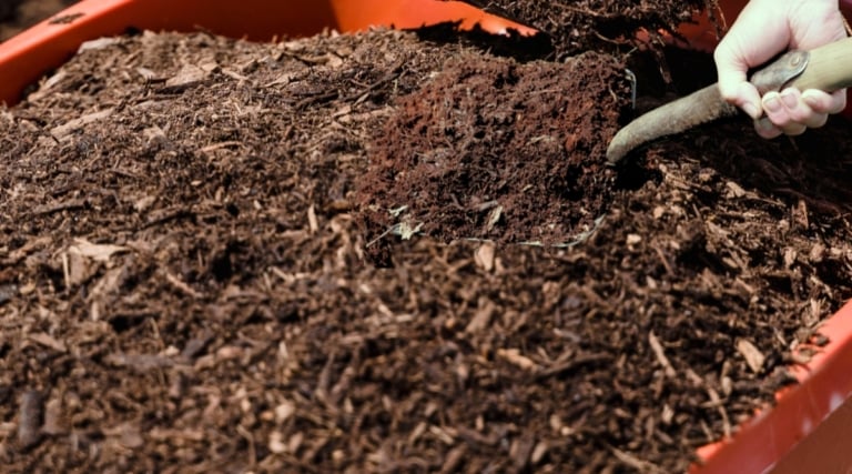 Compost Basics: How to Balance Greens and Browns