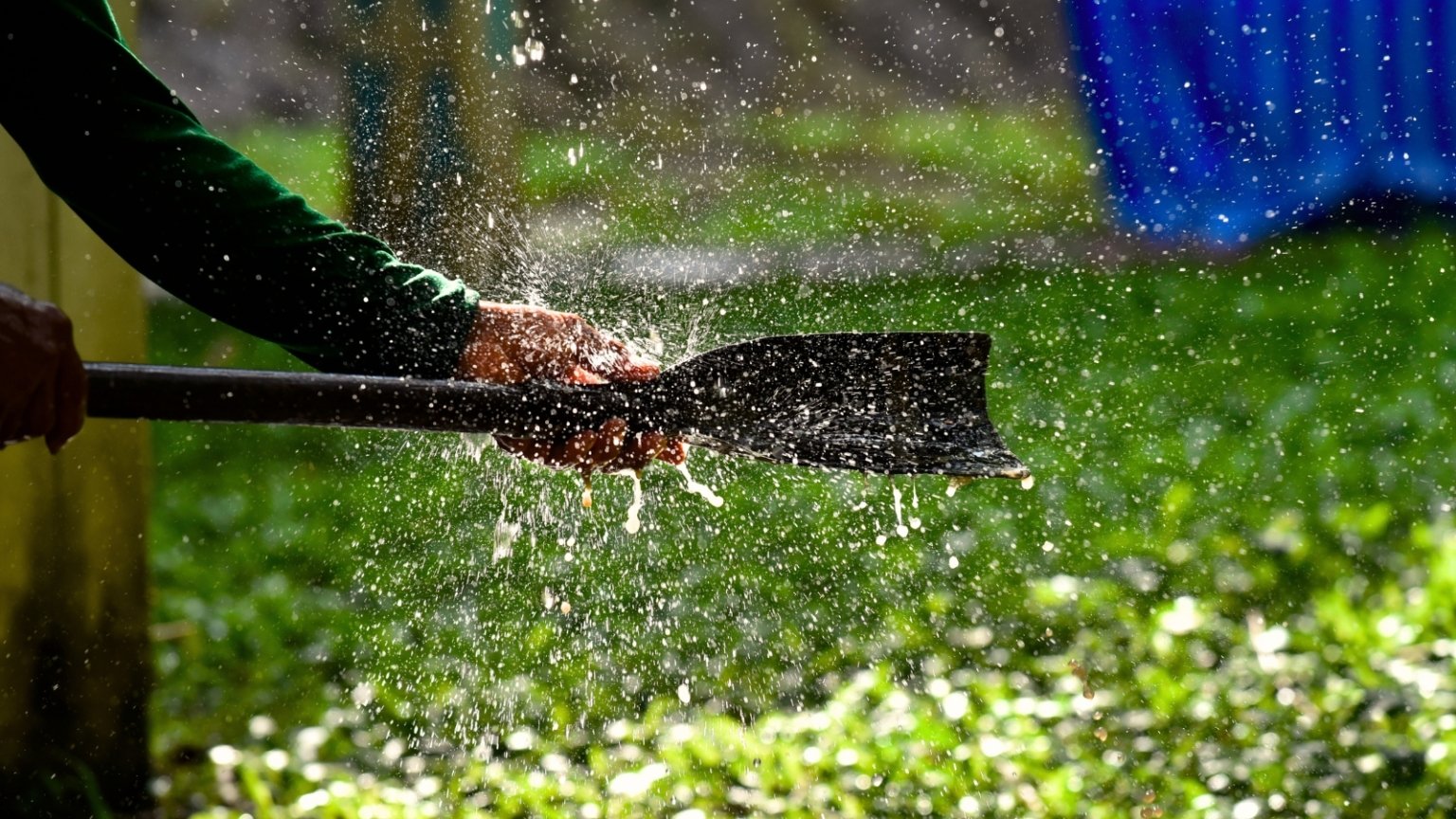 A Beginner's Guide to Cleaning and Disinfecting Your Garden Tools