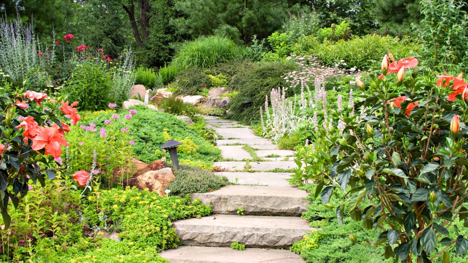 9 Ideas For Creating Your Fairy Tale Cottagecore Garden
