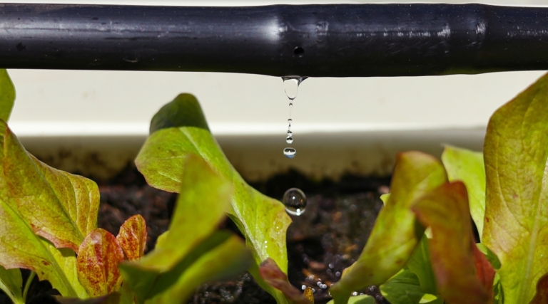 7 Best Types of Garden Irrigation: Compare and Contrast