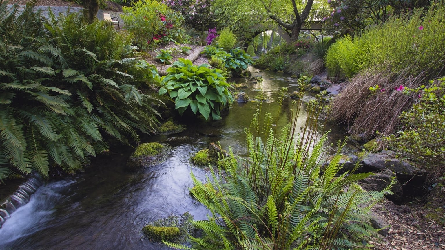 15 Landscape Design Ideas for Challenging Gardens