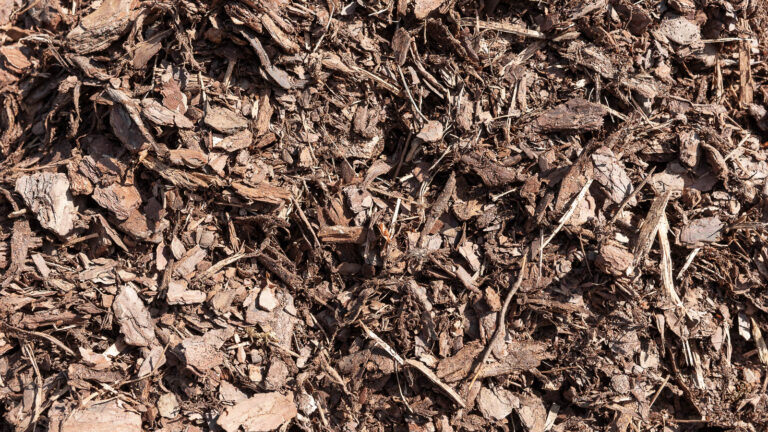 10 Ways to Keep Rats Out of the Garden