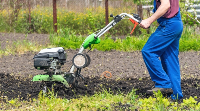7 Common Gardening Habits You Should Leave Behind
