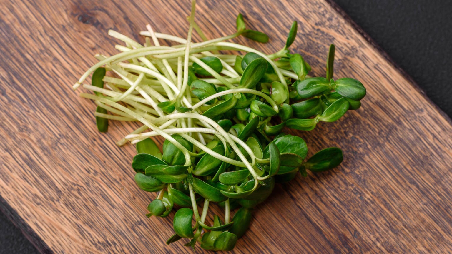 How to Grow Sunflower Microgreens in 6 Easy Steps
