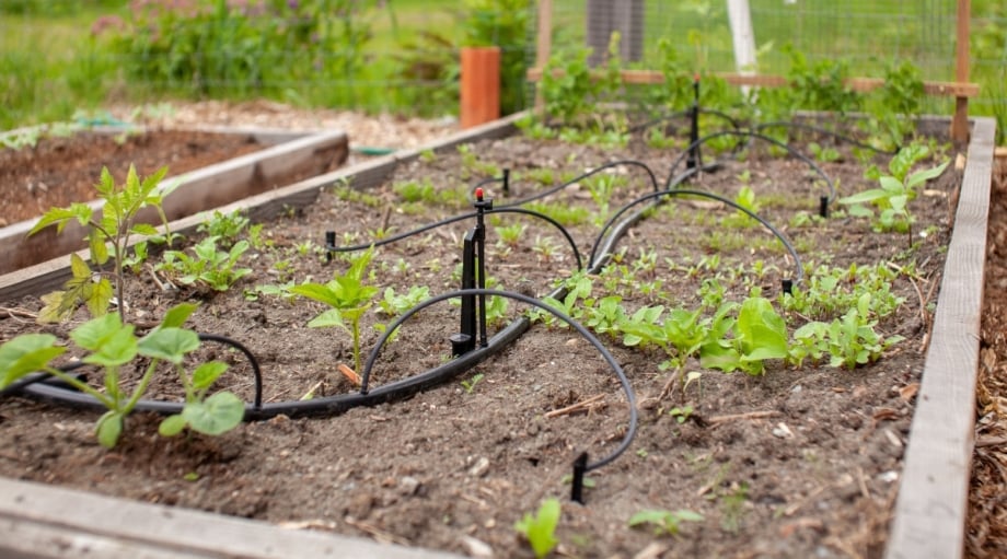 7 Best Types of Garden Irrigation: Compare and Contrast