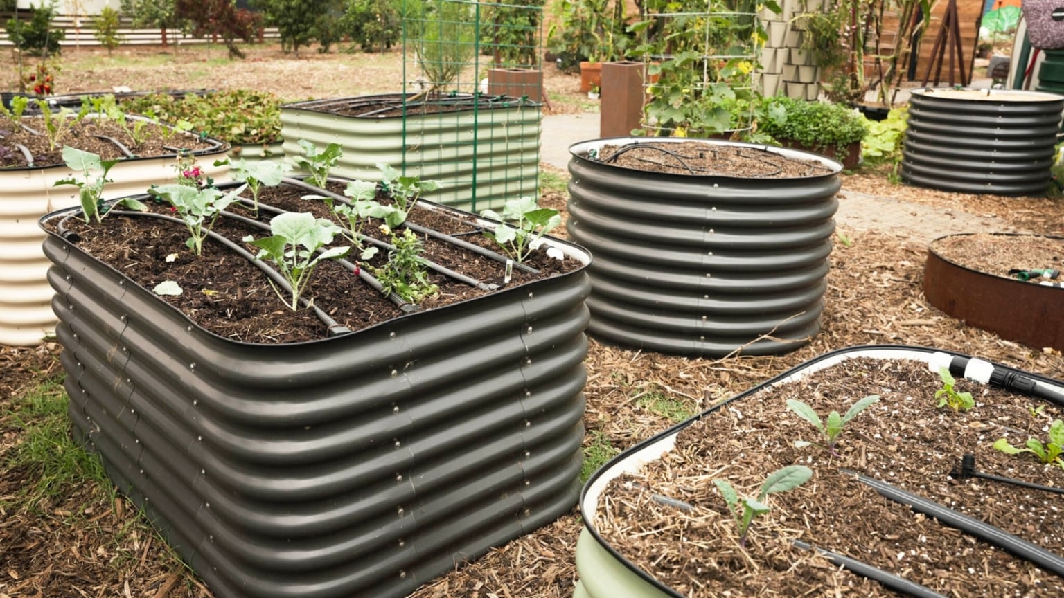 How to Set Up Irrigation for Raised Garden Beds