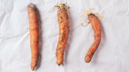 9 Reasons You Have Oddly-Shaped, Deformed Carrots