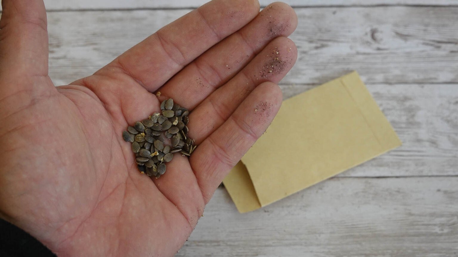 How to Plant, Grow, and Care for Passion Fruit