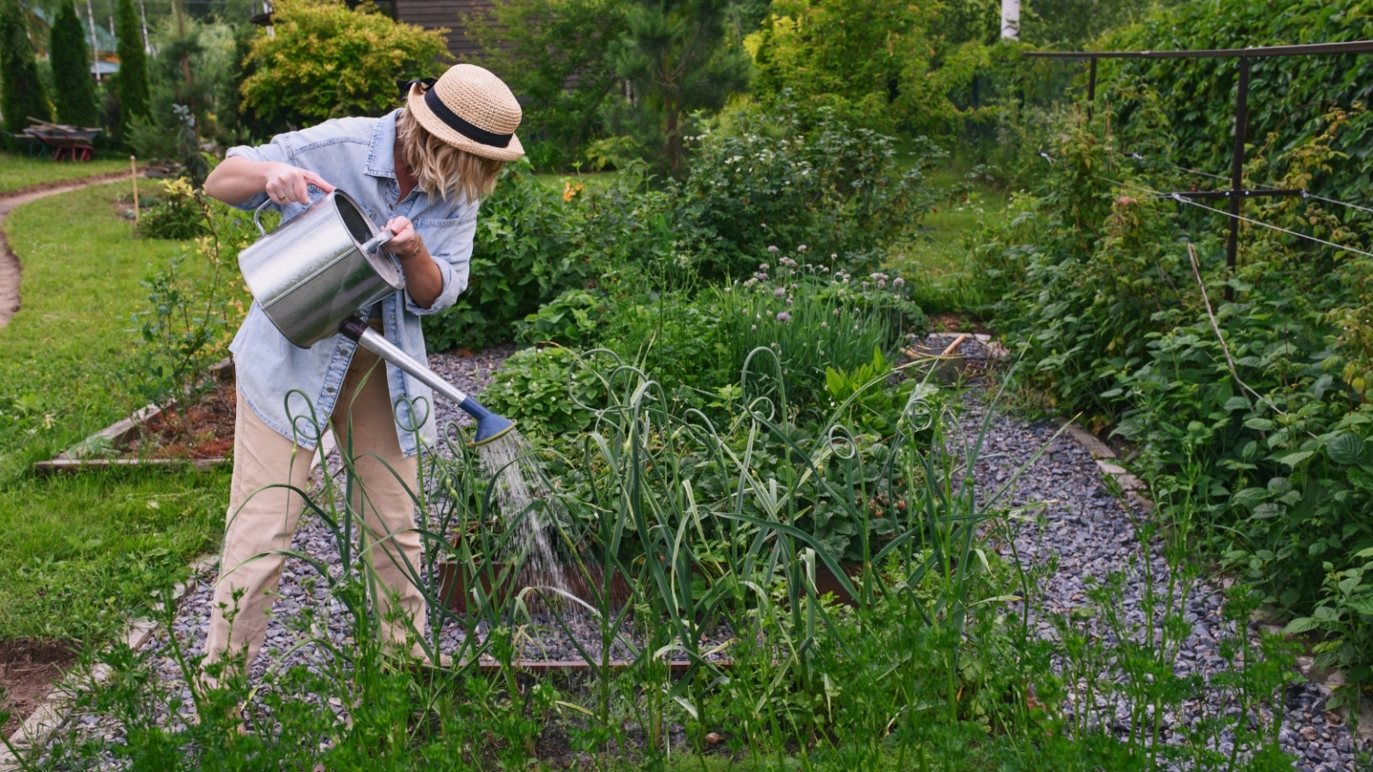 Stop Believing These 4 Garden Watering Myths