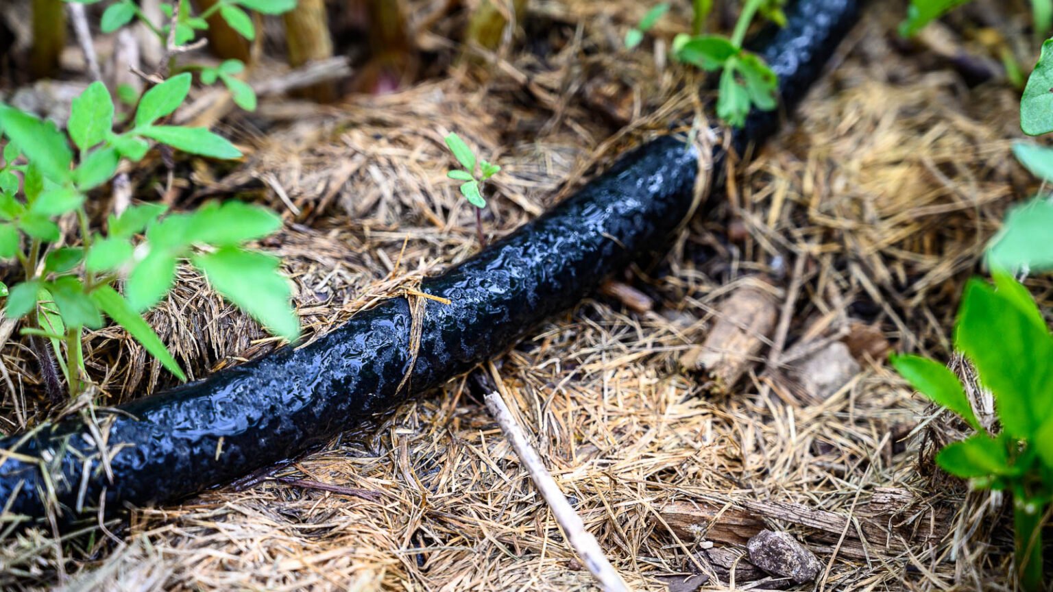 How to Install and Use a Soaker Hose - Epic Gardening
