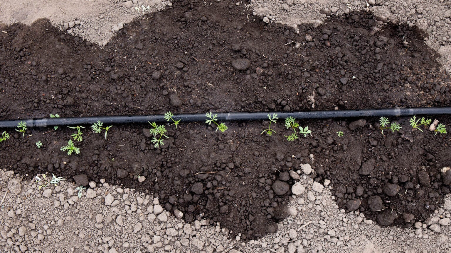 How to Install and Use a Soaker Hose - Epic Gardening