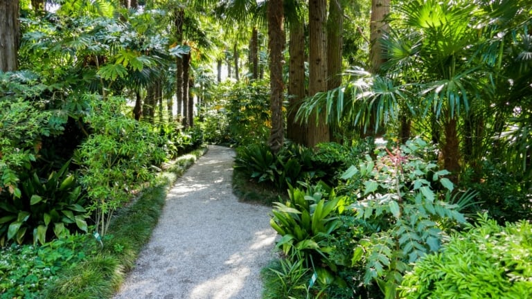 15 Landscape Design Ideas for Challenging Gardens