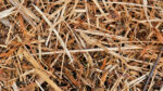 How To Spread Mulch The Right Way