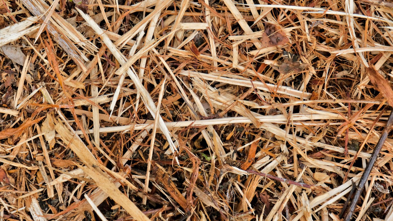 How To Spread Mulch The Right Way