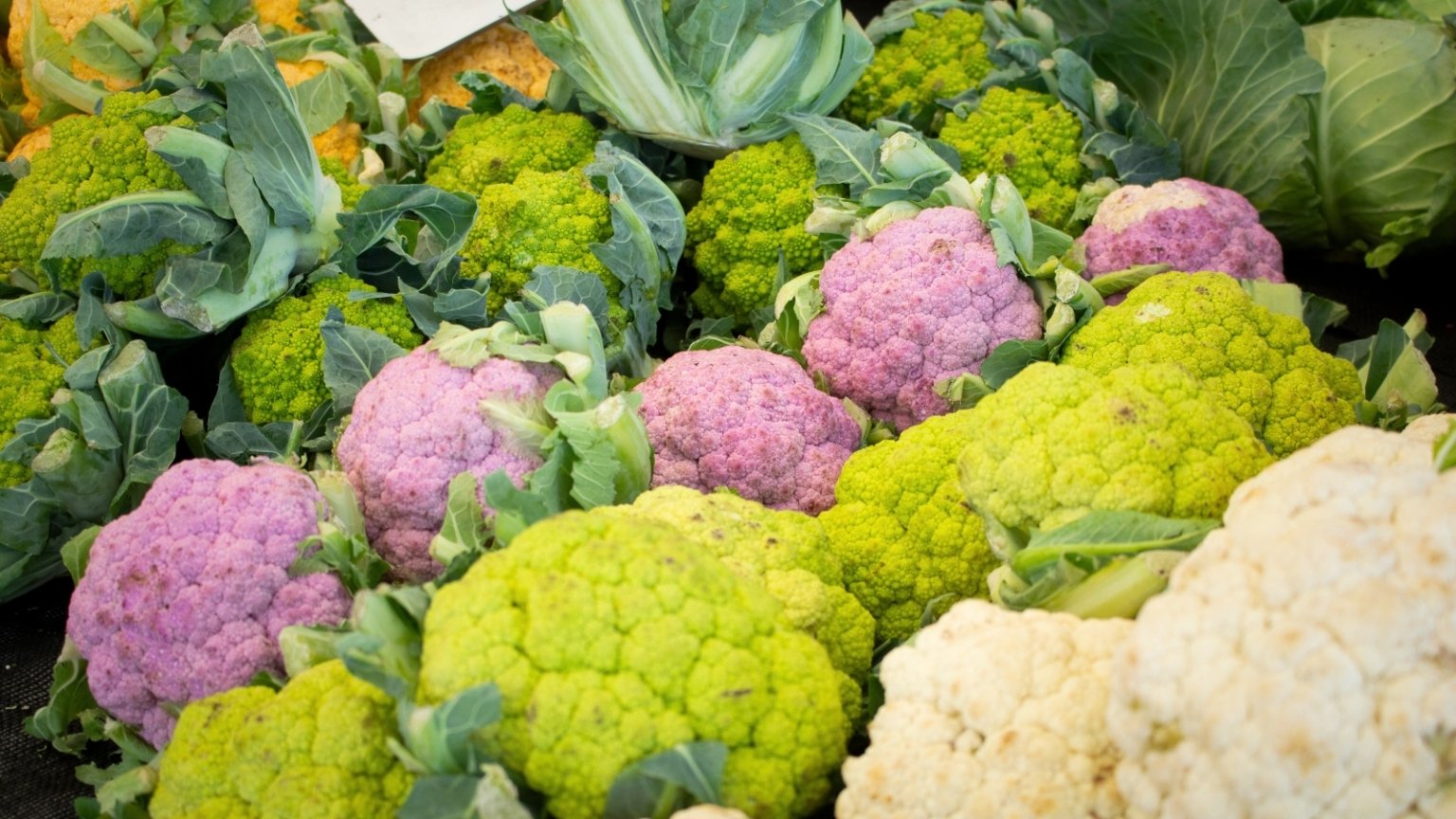 How to Grow Cauliflower in Raised Beds: A Complete Guide