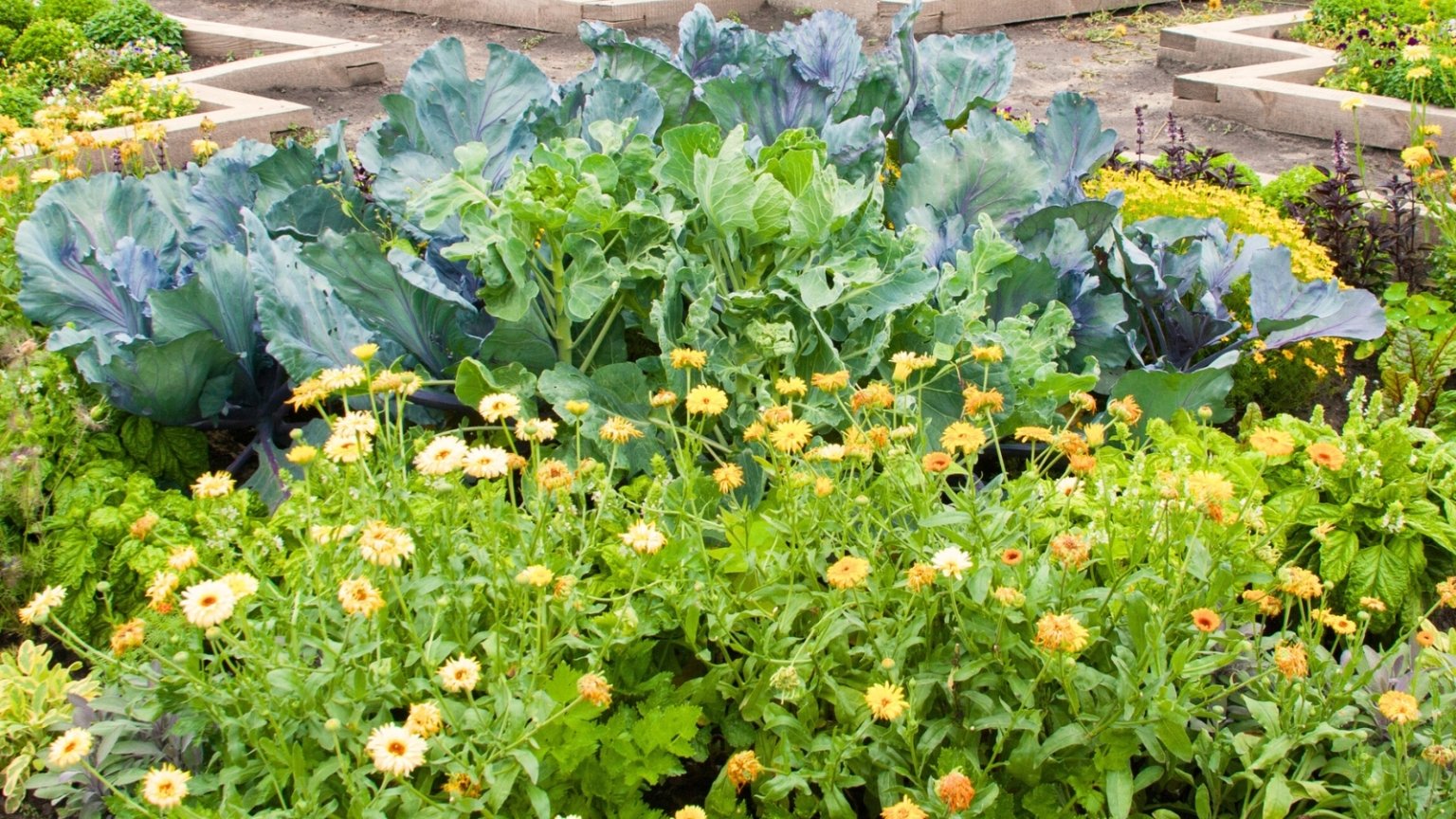 How to Start a Vegetable Garden in Zone 7
