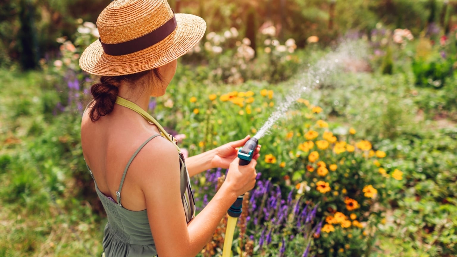 Don't Make These 7 Watering Mistakes in Your Garden