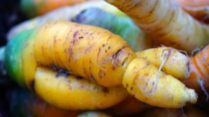 9 Reasons You Have Oddly-Shaped, Deformed Carrots