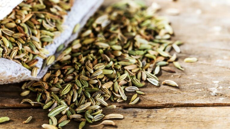 How To Grow Fennel Microgreens in 6 Easy Steps