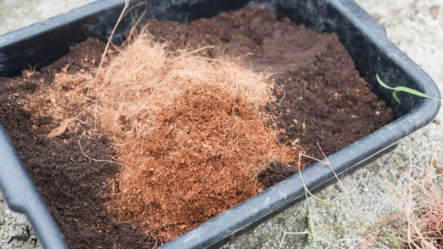 What is Coco Coir and How to Use it