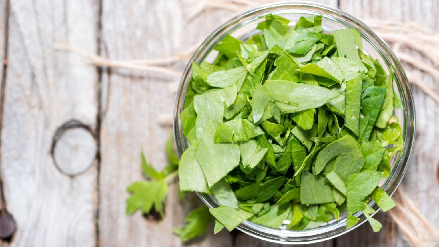 How to Plant, Grow, and Care for Lovage