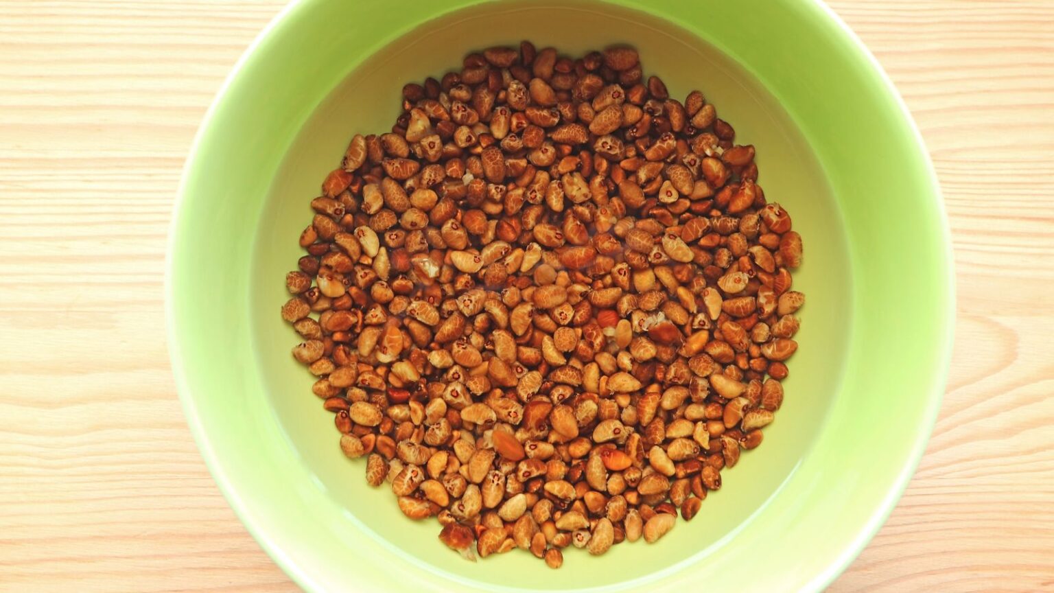 How To Grow Spinach Microgreens in 6 Easy Steps