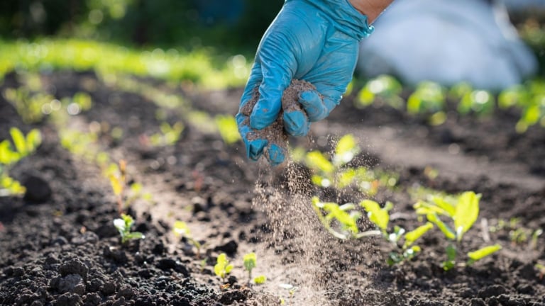 How to Use Azomite in the Garden