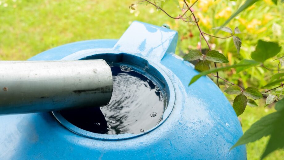 Rainwater Harvesting: How to Collect Rainwater