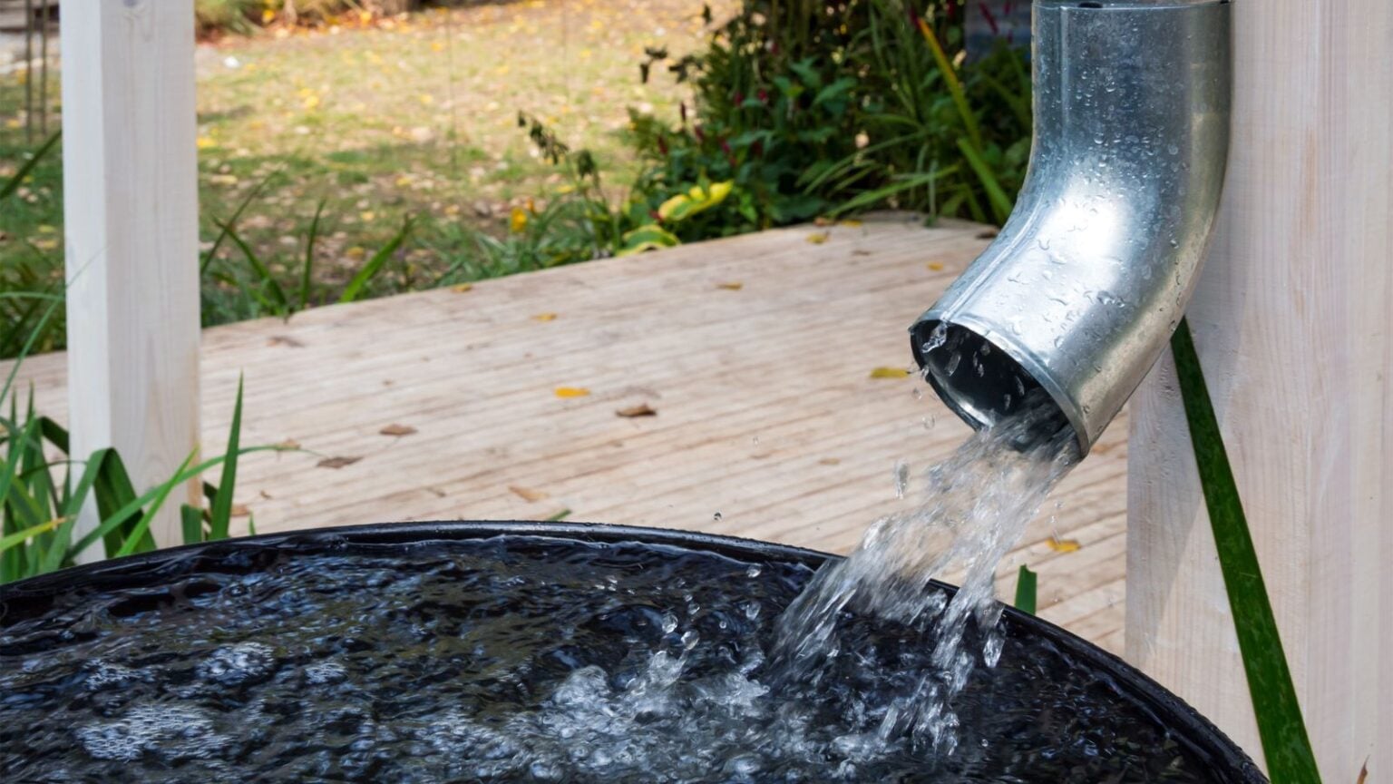 Rainwater Harvesting: How to Collect Rainwater