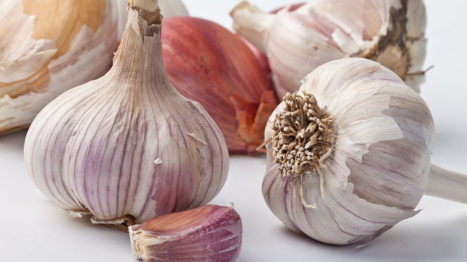 How to Plant, Grow, and Care for Montana Zemo Hardneck Garlic