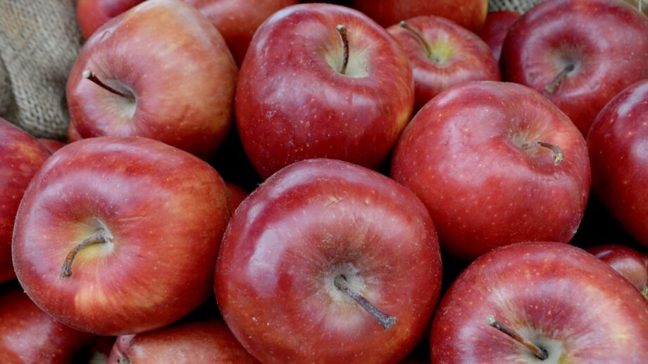 75 Heirloom Apples You’ve Probably Never Heard Of - Epic Gardening
