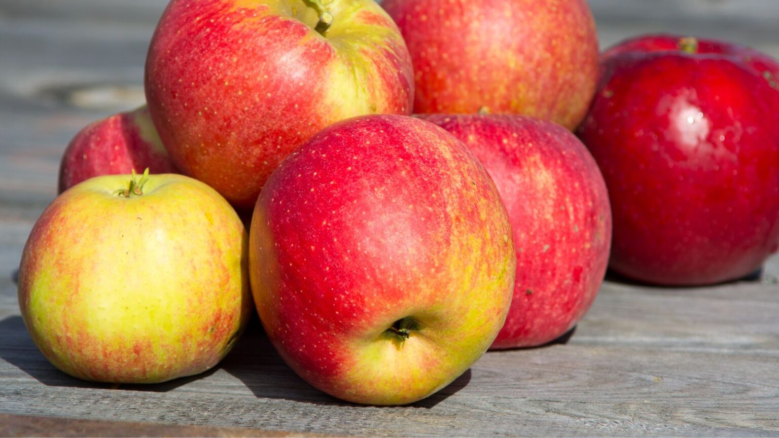 75 Heirloom Apples You’ve Probably Never Heard Of - Epic Gardening