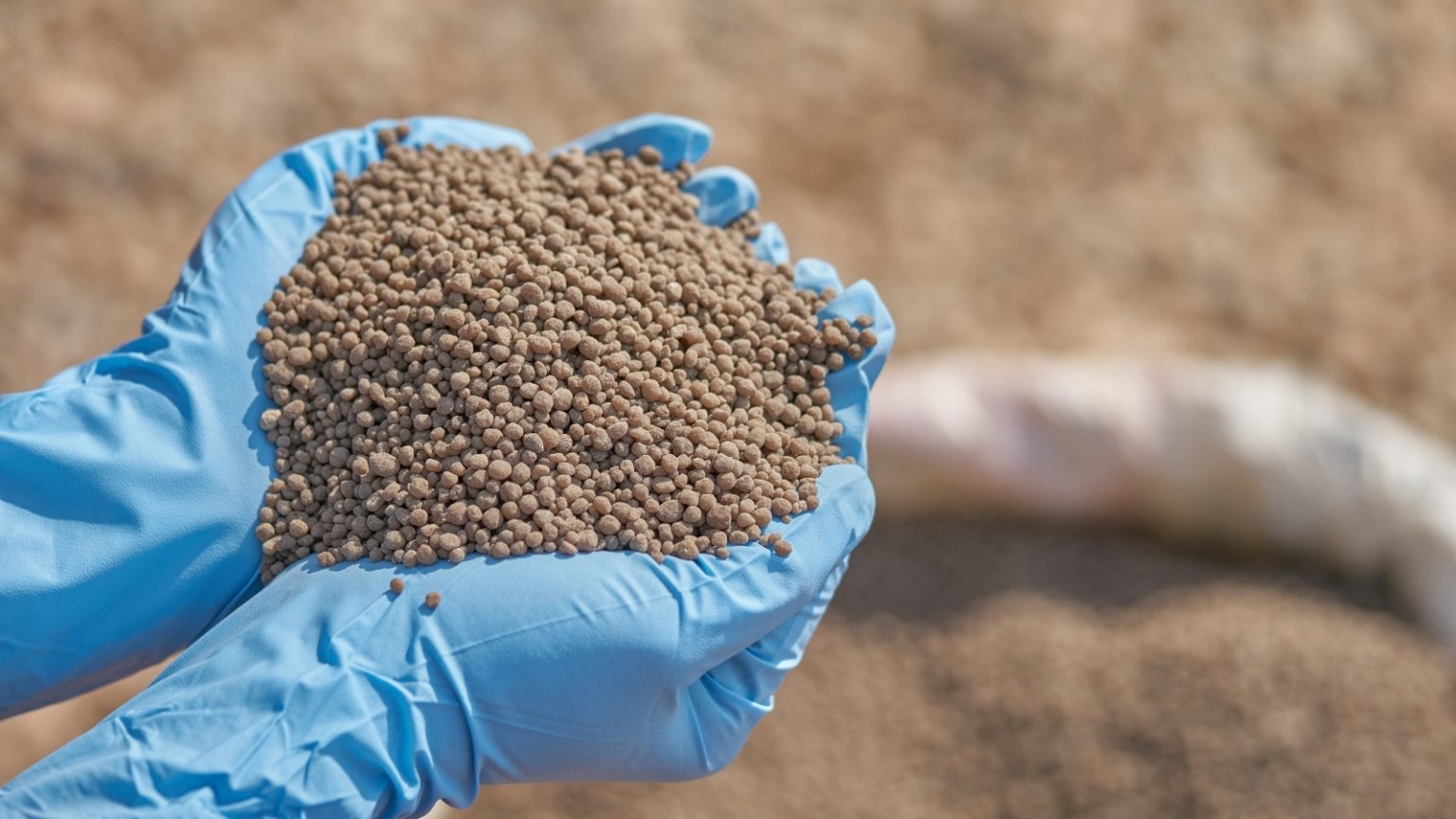 An Easy Guide to Garden Fertilizers: Fertilizer Basics