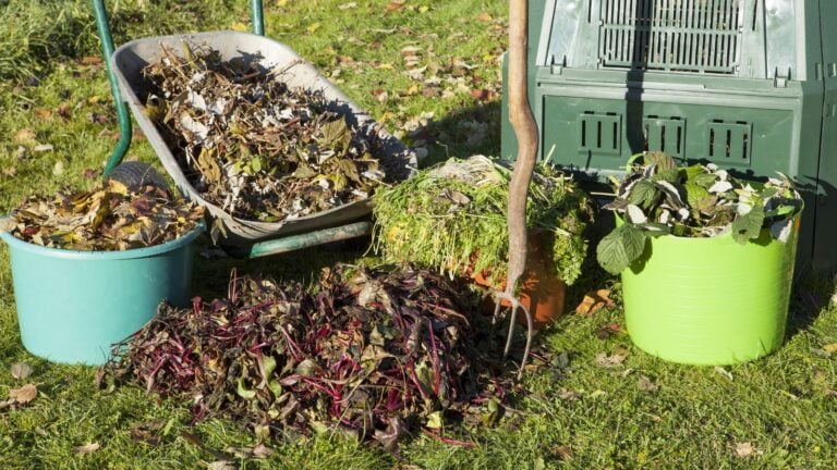 How to Make and Use Leaf Mulch - Epic Gardening