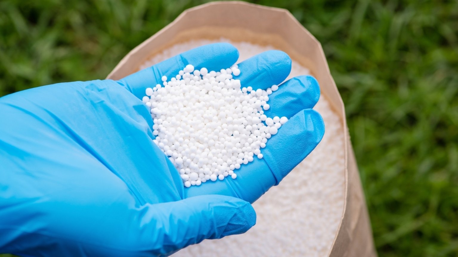 An Easy Guide to Garden Fertilizers: Fertilizer Basics