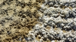How to Prevent Soil Leaching in the Garden: 6 Expert Tips
