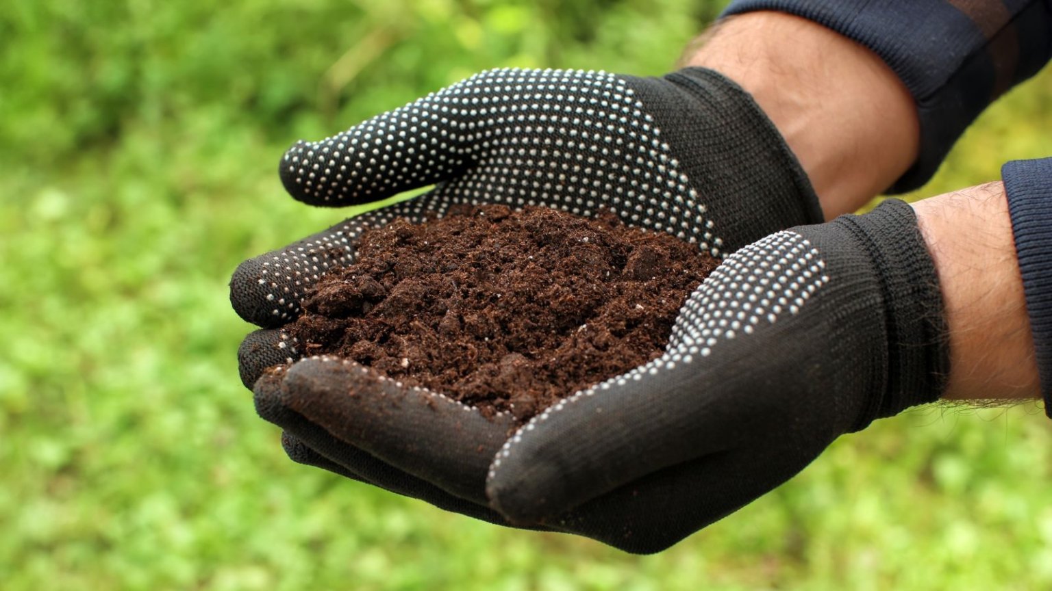 How to Use Azomite in the Garden