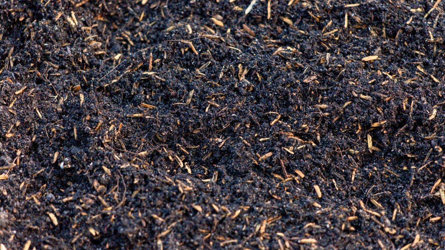 How and Why to Use Rice Hulls in the Garden