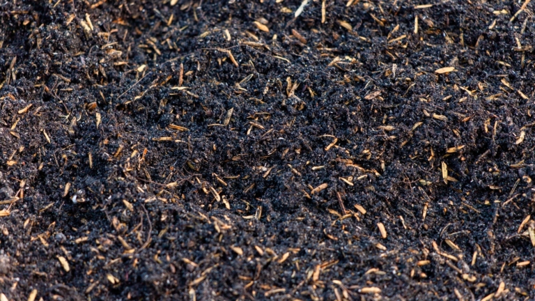 How and Why to Use Rice Hulls in the Garden