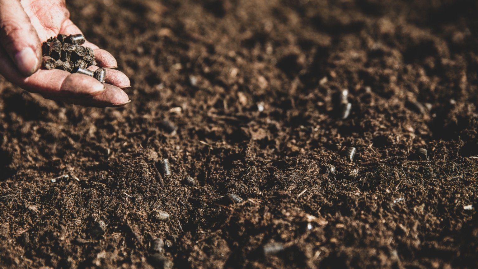How to Prevent Soil Leaching in the Garden: 6 Expert Tips