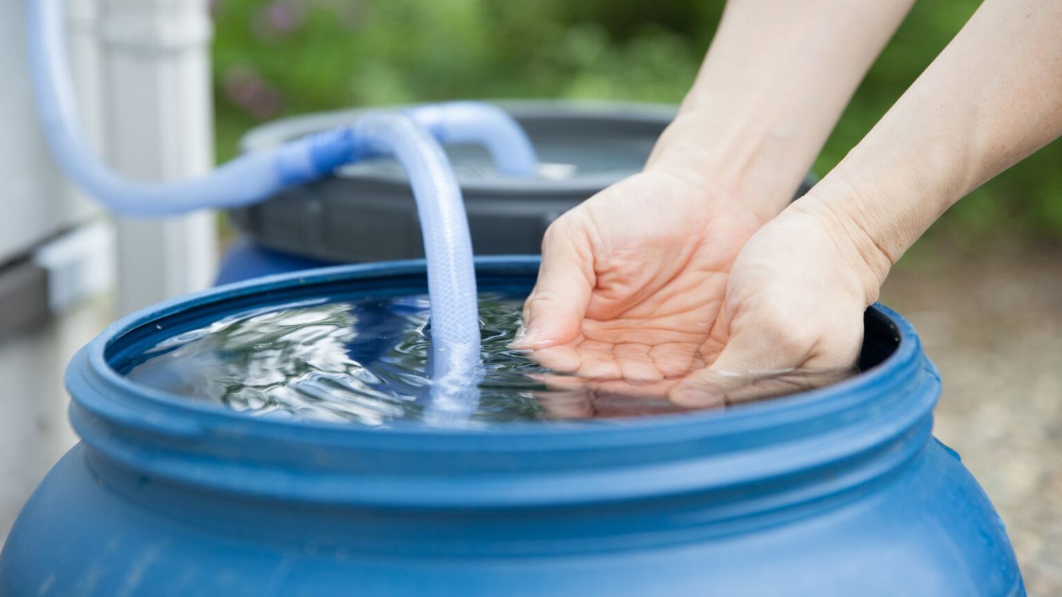 Rainwater Harvesting: How to Collect Rainwater