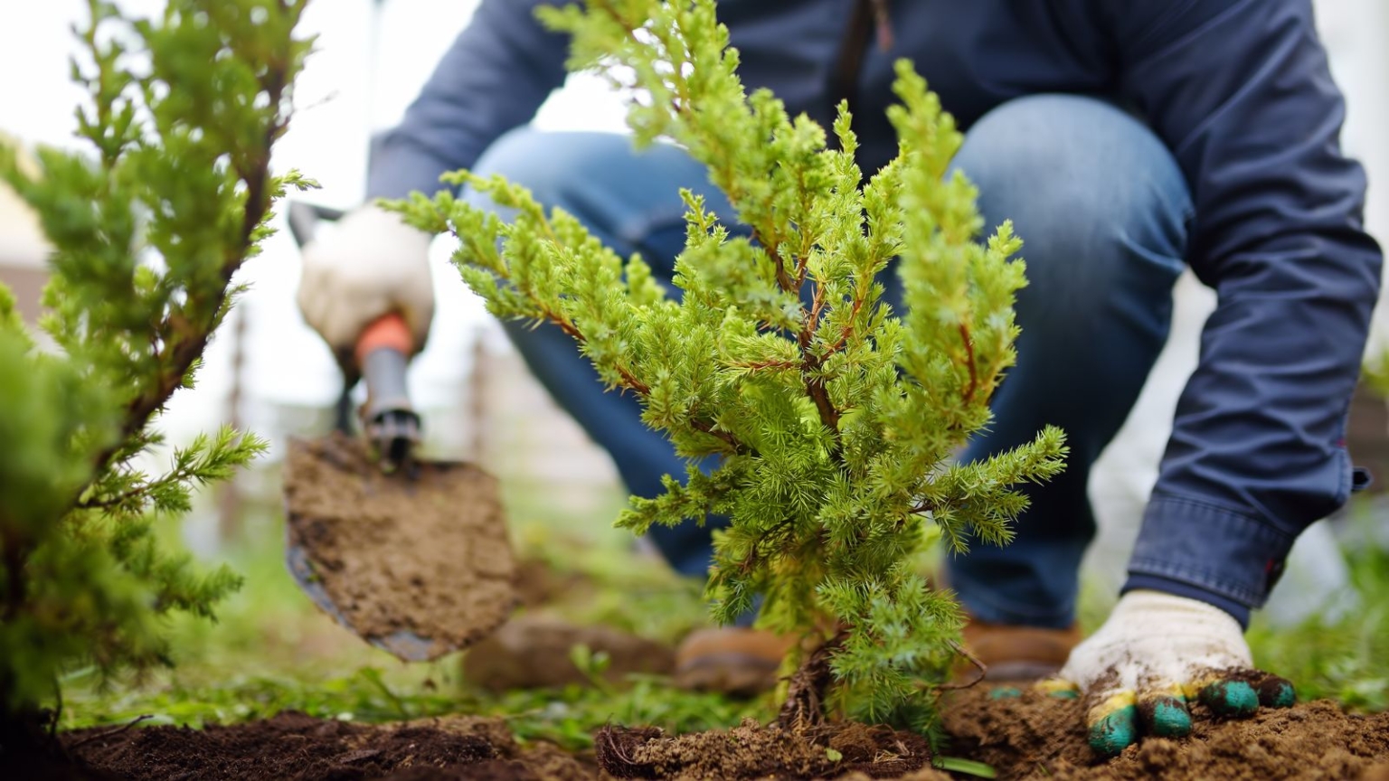 How to Use Azomite in the Garden