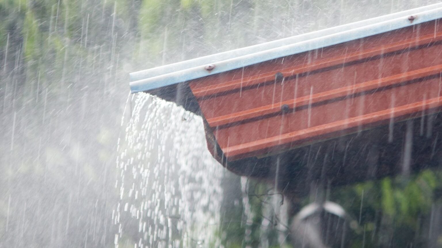 Rainwater Harvesting: How to Collect Rainwater