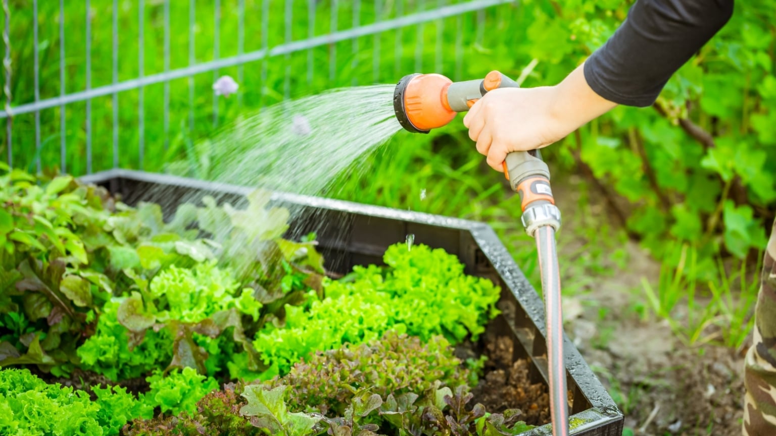 How to Start a Garden From Scratch This Spring (Even If You've Failed ...