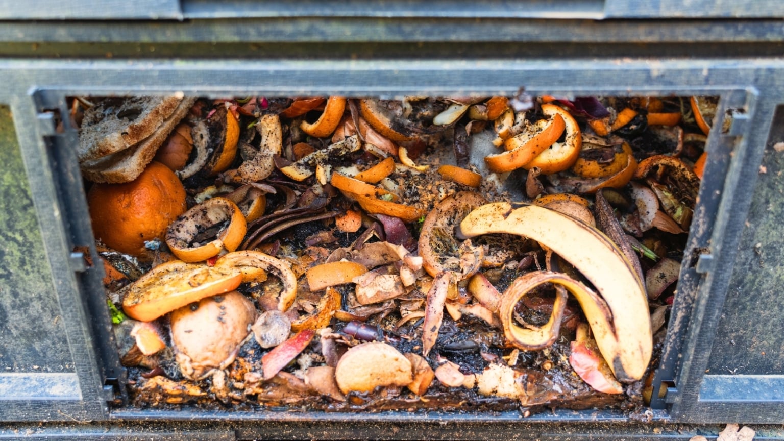 How to Build a DIY Compost Bin