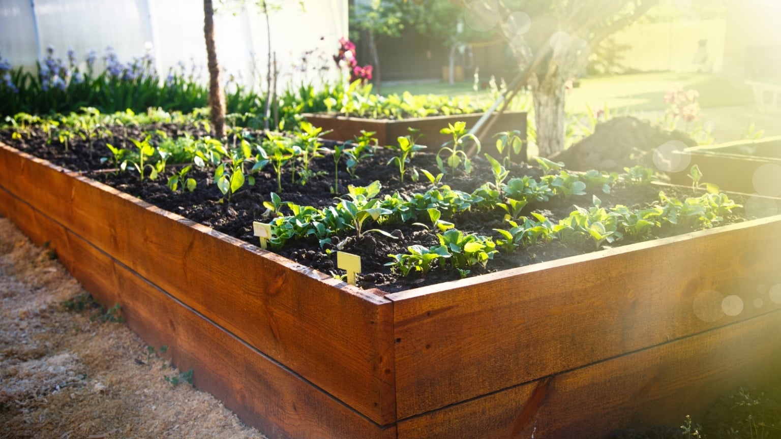 7 Reasons to Choose Cedar For Your Garden Beds
