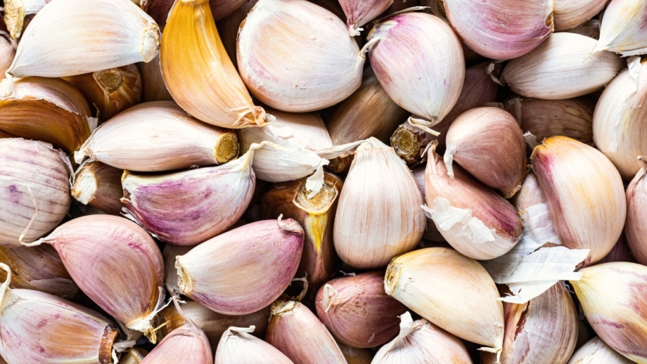 What to Look For When Buying Seed Garlic