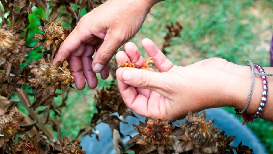 17 Easy Garden Projects You Can Do With Your Kids